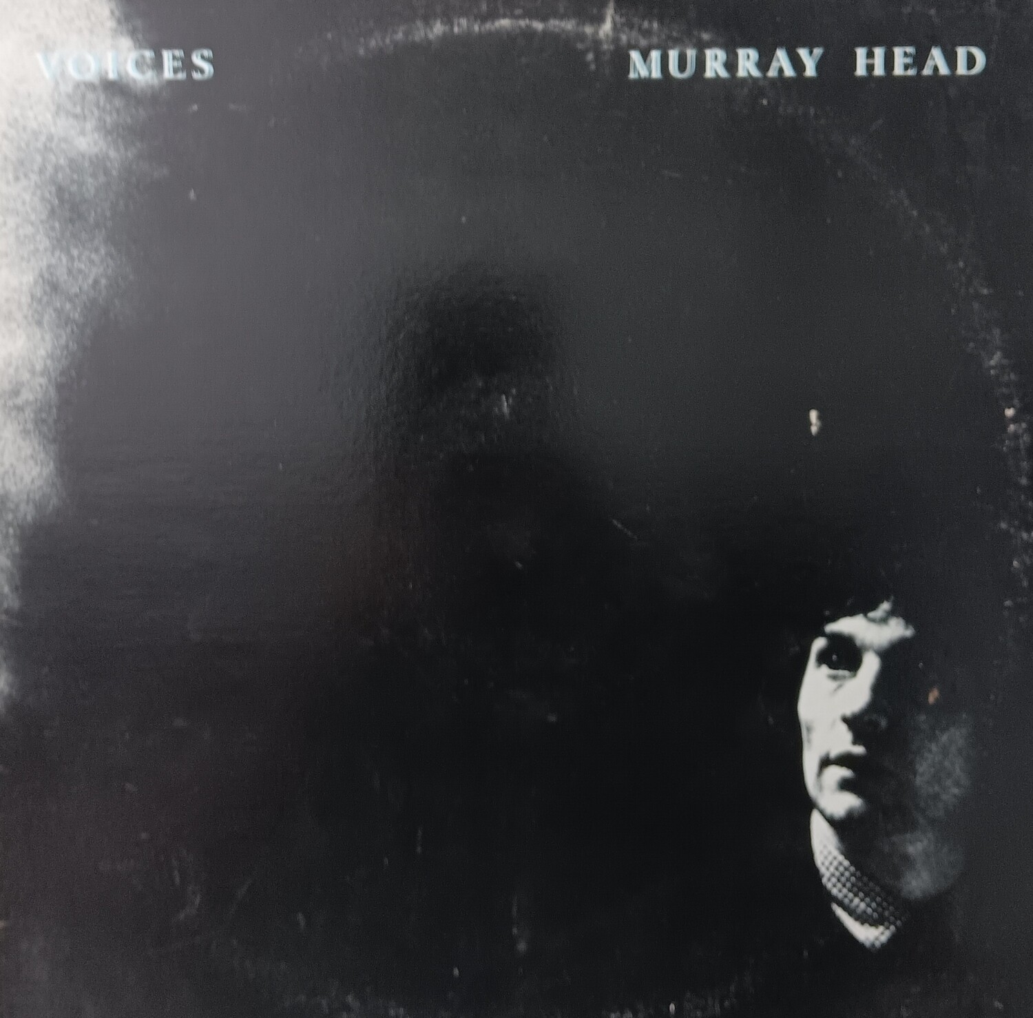 MURRAY HEAD - Voices