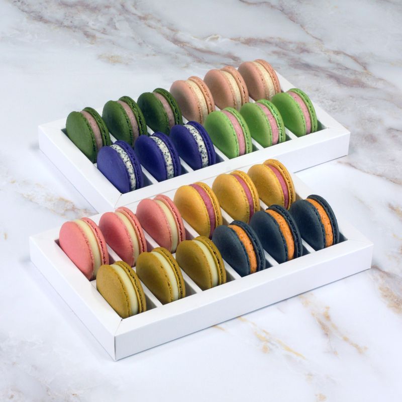 LOTI PANTÓN Macarons