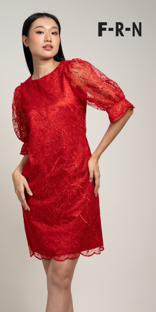 Home [www.ferreni.co]