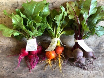 Store – blue sky farms