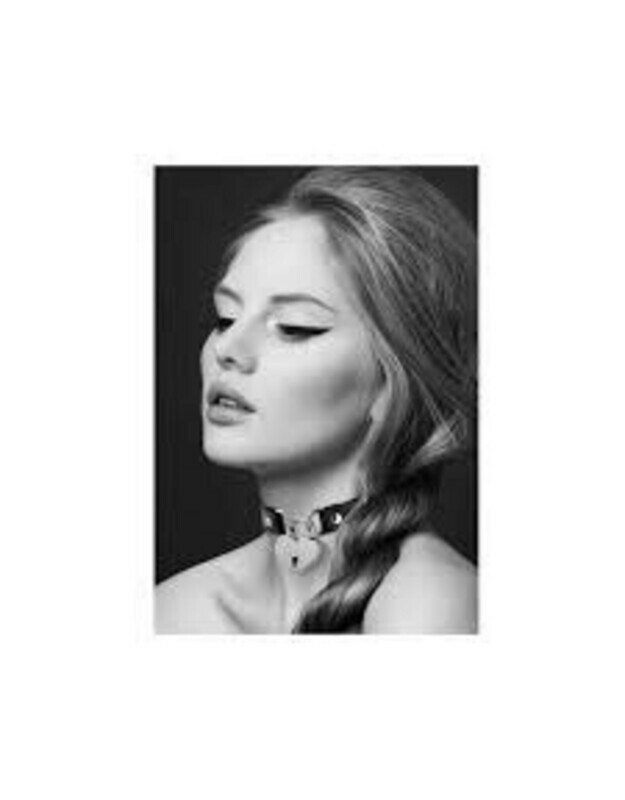 Heart Lock Collar | Harnesses