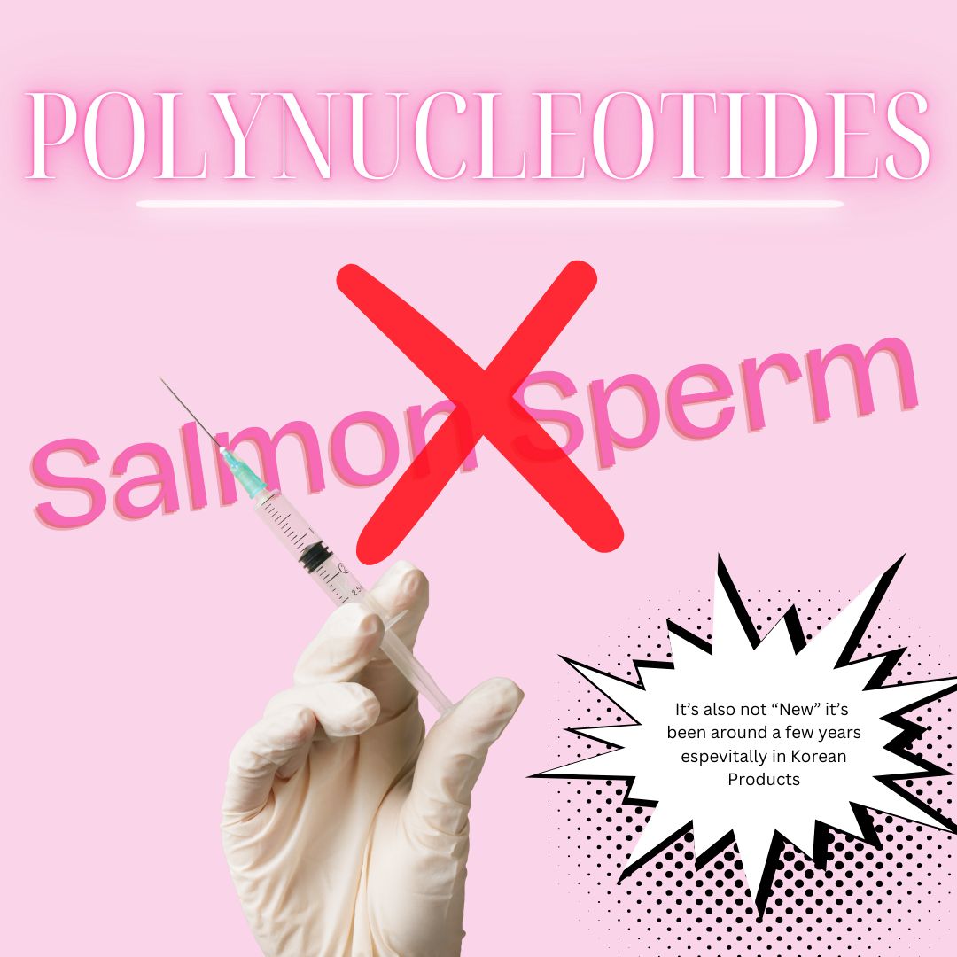 What are Polynucleotides