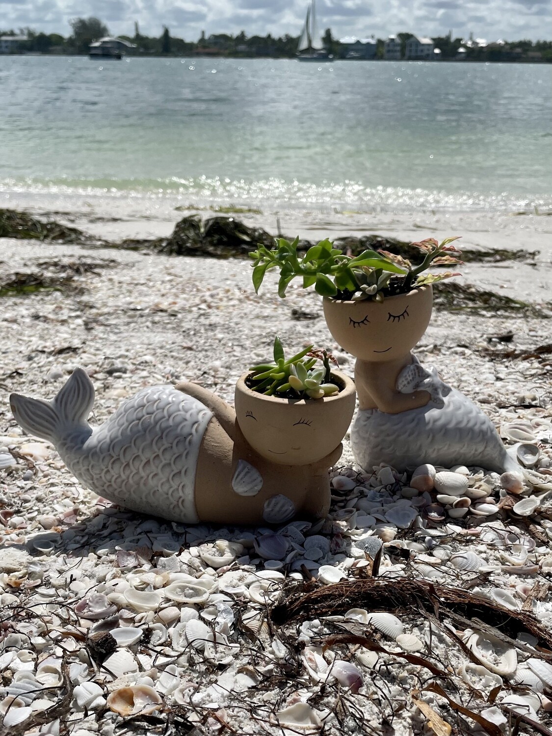 Sassy Mermaid Planters