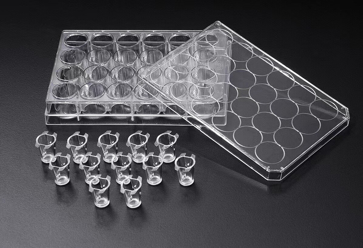 3D Cell Culture Plate Insert™ Hanging, PET, 0.4/3/8μm, Transparent ...