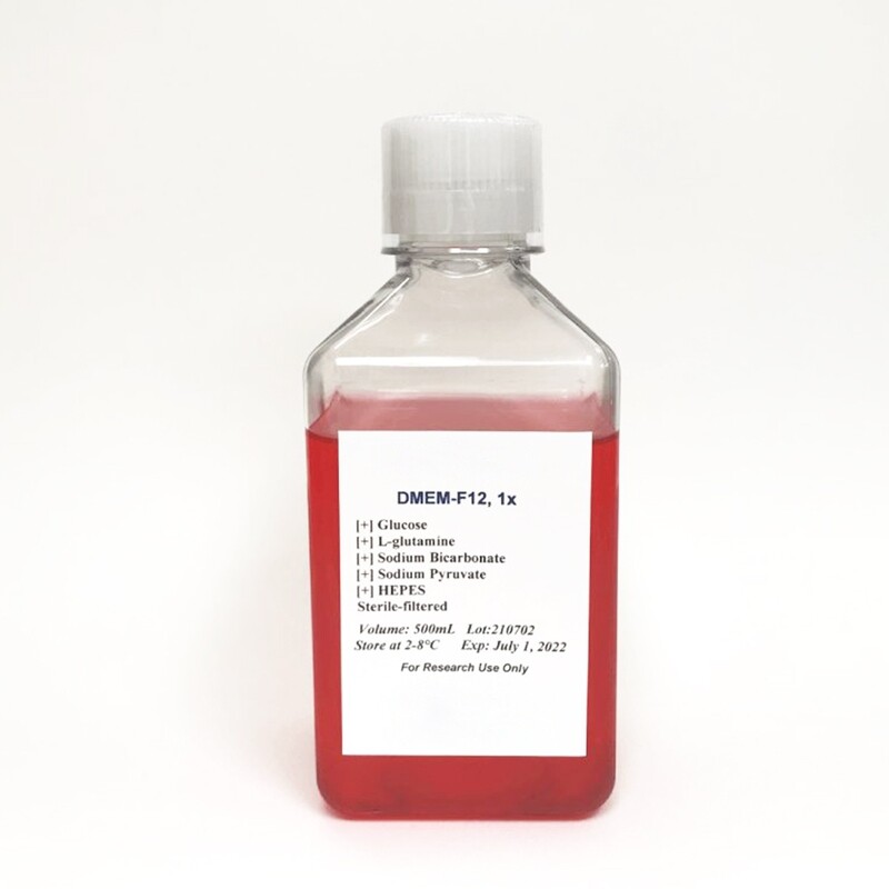 DMEM/F12, HEPES