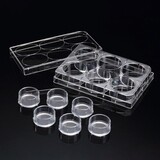 Cell Culture Plates