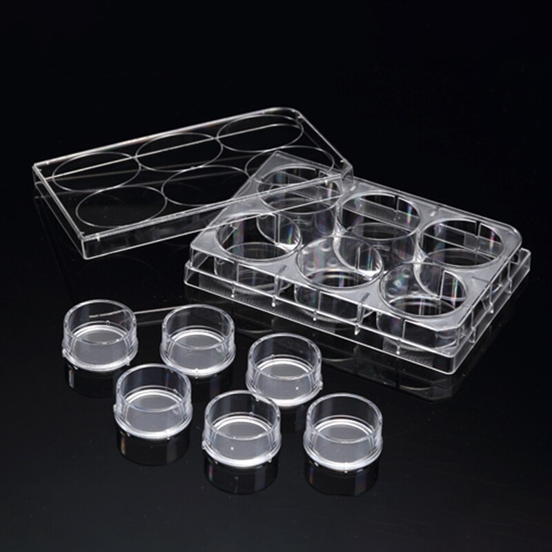 6 Cell Culture Inserts+ 6 well plate | PET Membrance | Insert™ Standing