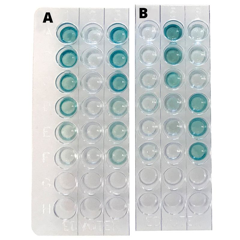 Quantitative ELISA