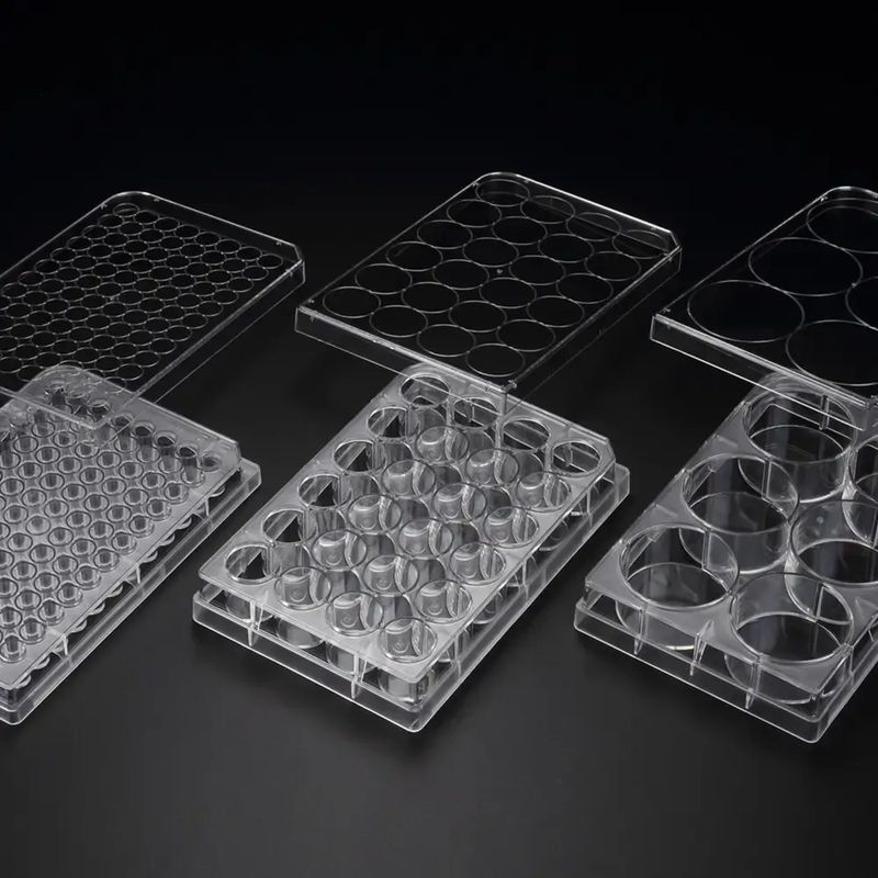 3D Cell Floater Plate, PS, 6/24/96-well, 1/Pack, 5/Case