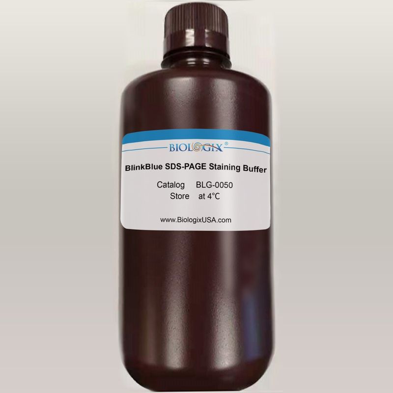 Blinkblue® Sds Page Staining Buffer 50ml1000ml 4823