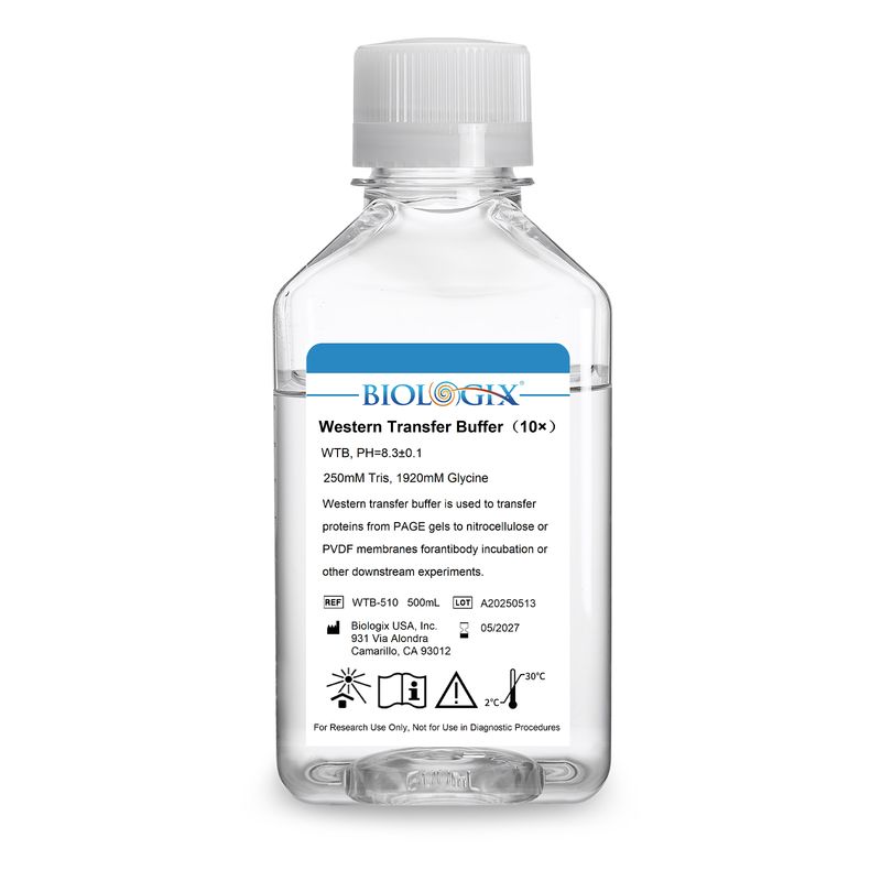 Biologix® Western Transfer Buffer (10×), PH8.3, 500mL/ Bottle, 10 ...