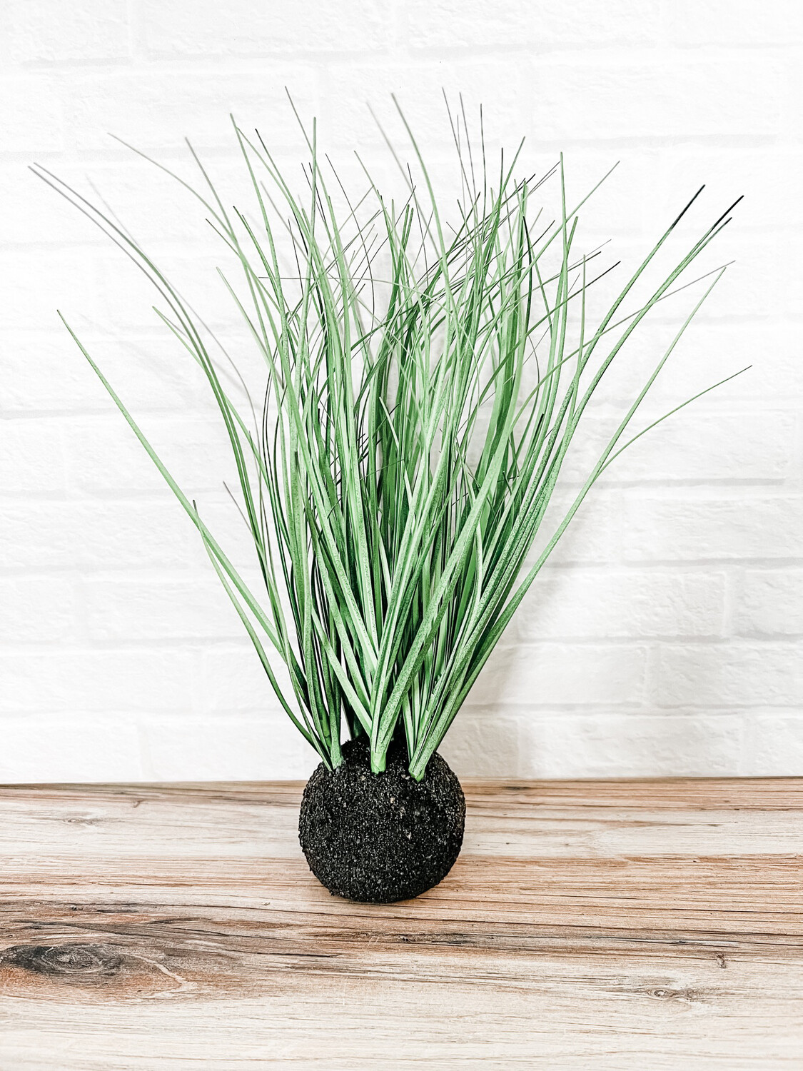 Onion Grass Bulb