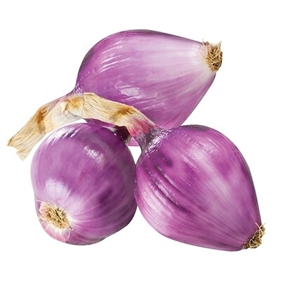 CIPOLLA ROSSA DI TROPEA LUNGA - CIPOLLOTTO - ORTO 12pz