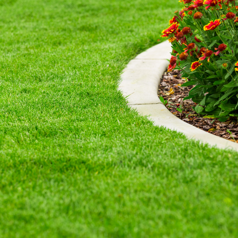 Sassi Garden - Vendita Piante Online