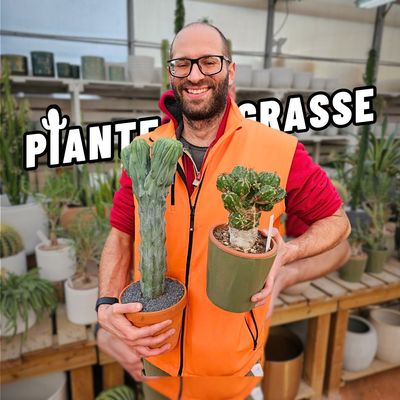 Sassi Garden - Vendita Piante Online