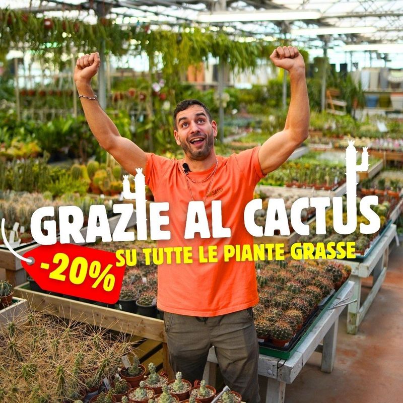 Sassi Garden - Vendita Piante Online