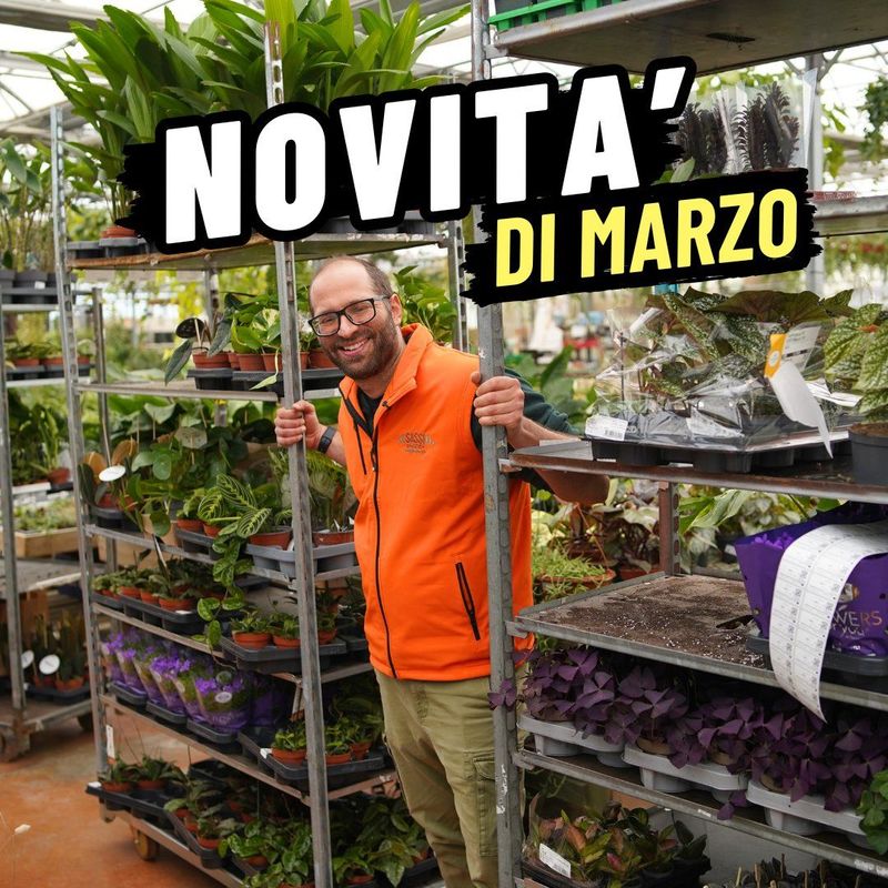 Sassi Garden - Vendita Piante Online