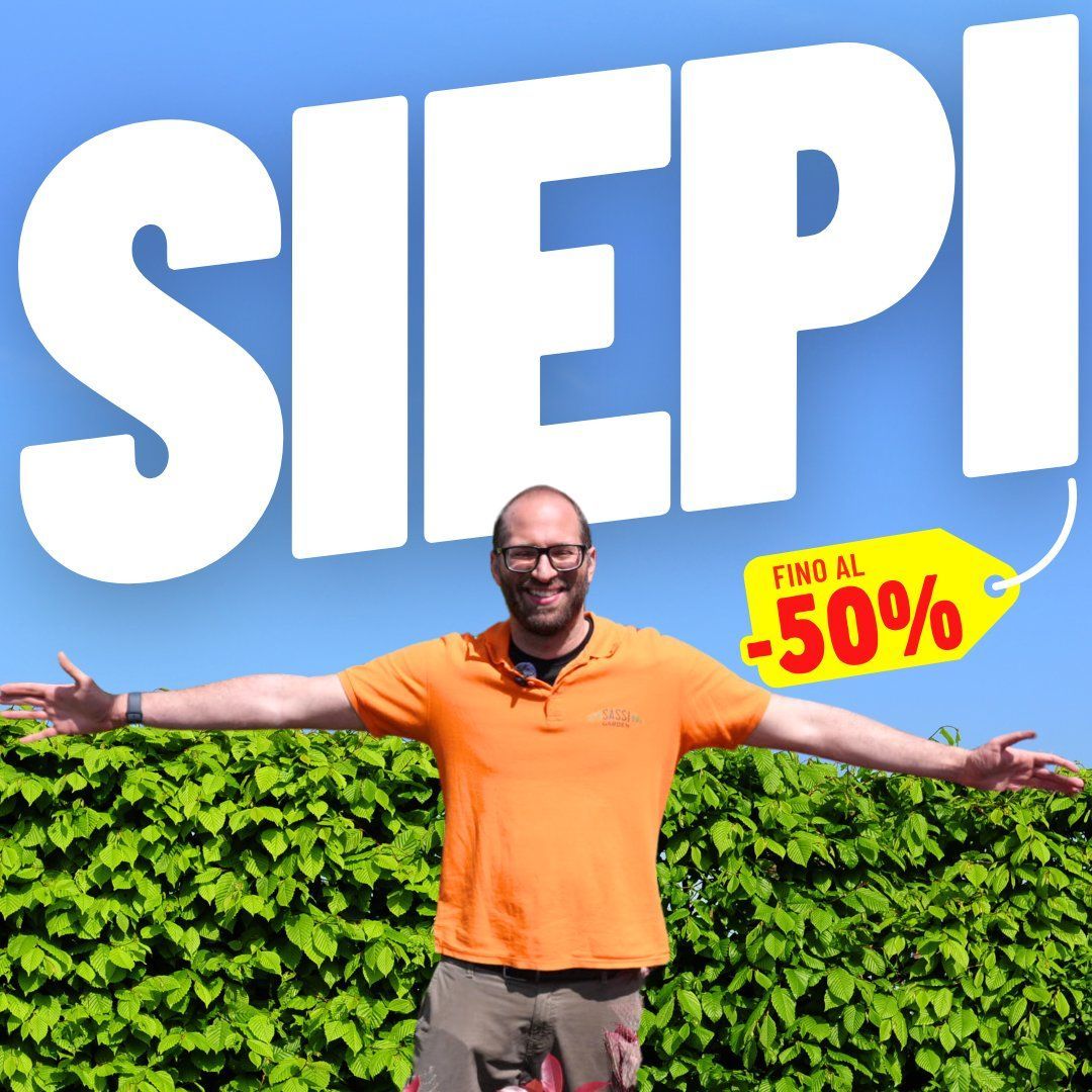 Piante da Siepe in Offerta fino al 50% da Sassi Garden