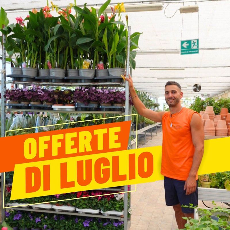 Sassi Garden - Vendita Piante Online