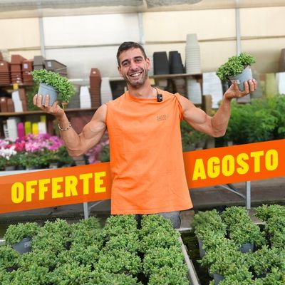 Sassi Garden - Vendita Piante Online