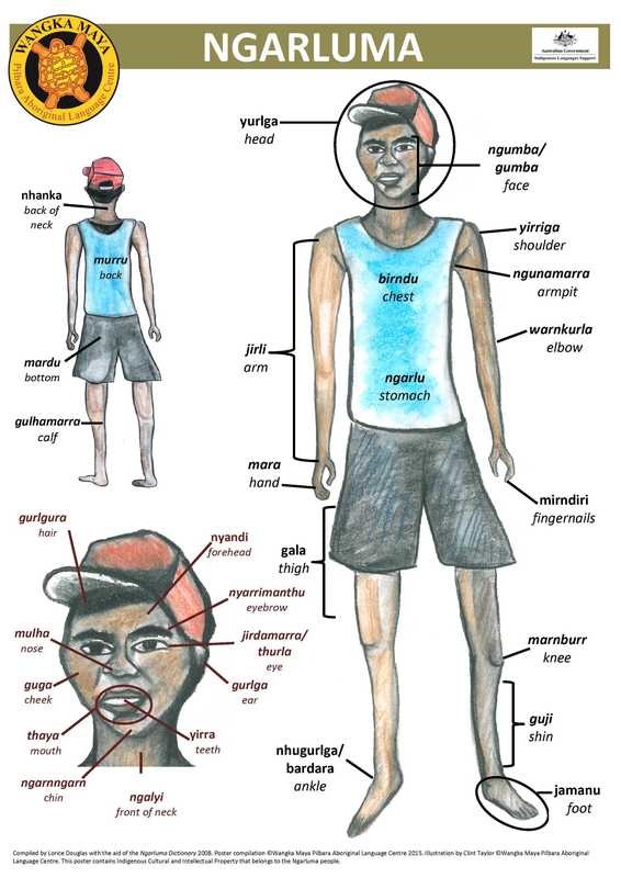 Ngarluma Resources | Wangka Maya Pilbara Aboriginal Language Centre