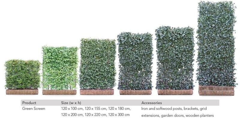 Online Shop | Supply Only | Living Walls | Ivy Green Screens