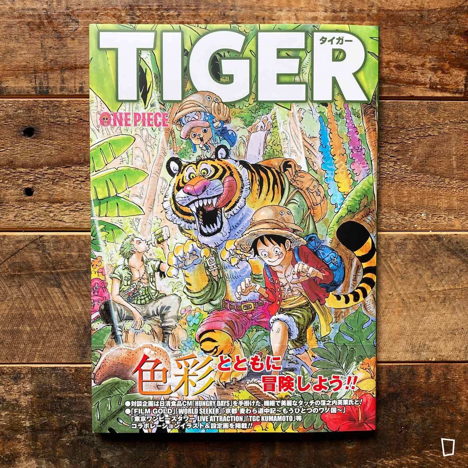 尾田榮一郎《ONE PIECE 插畫集 COLOR WALK 9 TIGER》 - 紙本分格實體店 zbfghk store／實體店及網絡商店