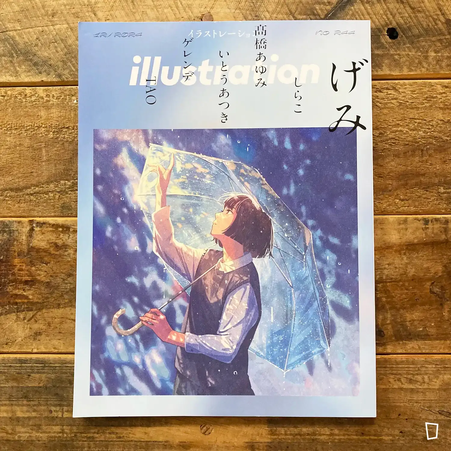 特集：げみ《illustration》No.244 - 2024 年 12 月號（日本插畫雜誌） - 紙本分格實體店 zbfghk store／實體店及網絡商店