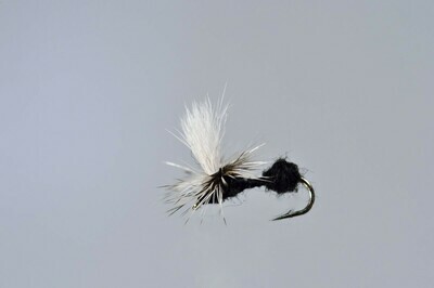 Freshwater Flies