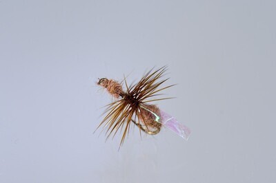 Freshwater Flies