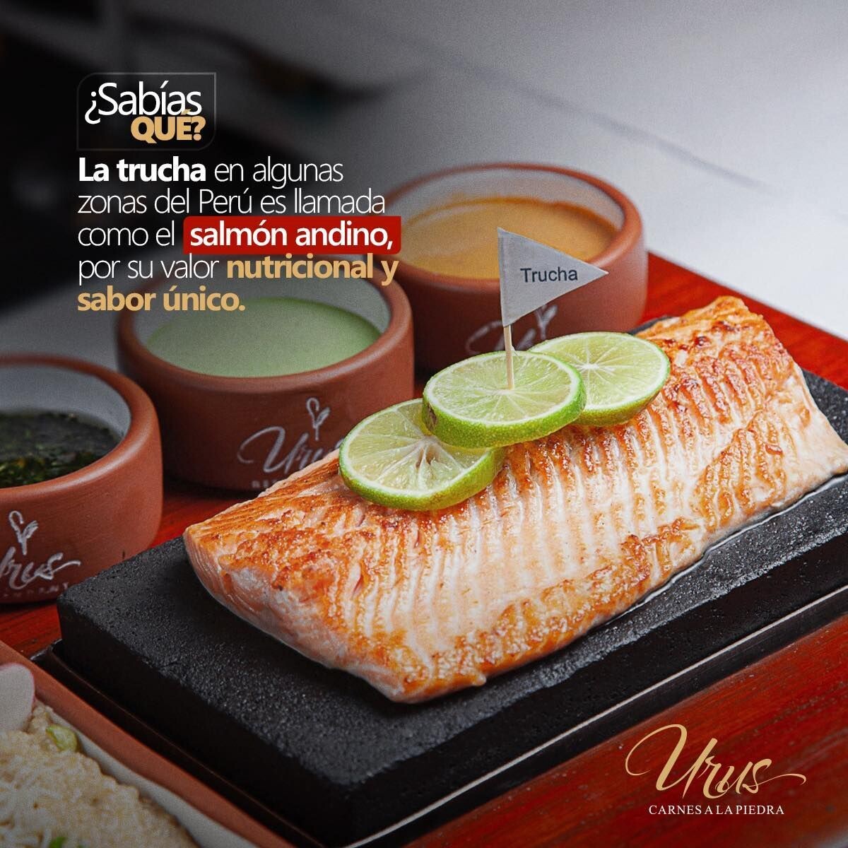 Salmón andino (Trucha)