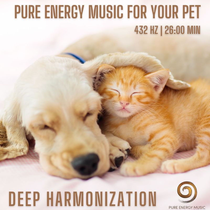 PURE ENERGY MUSIC - SHOP