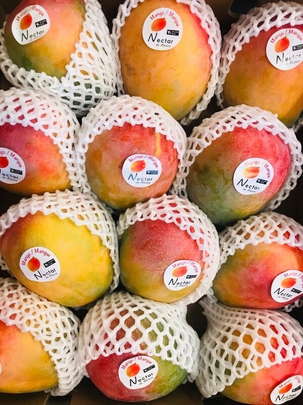 Mango vlieger (per stuk)