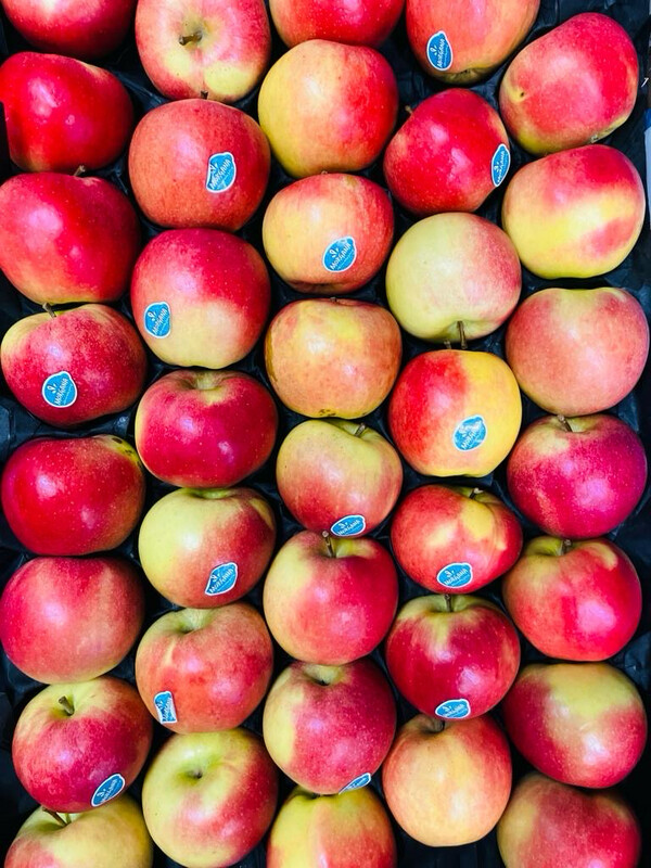 Morgana | Fruit & me