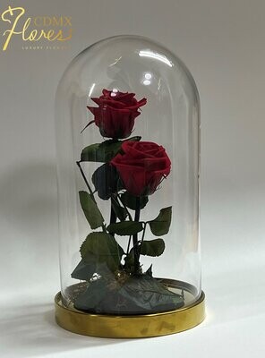 Eder Flores Luxury Flowers Florería en Pto. Vallarta y CDMX.