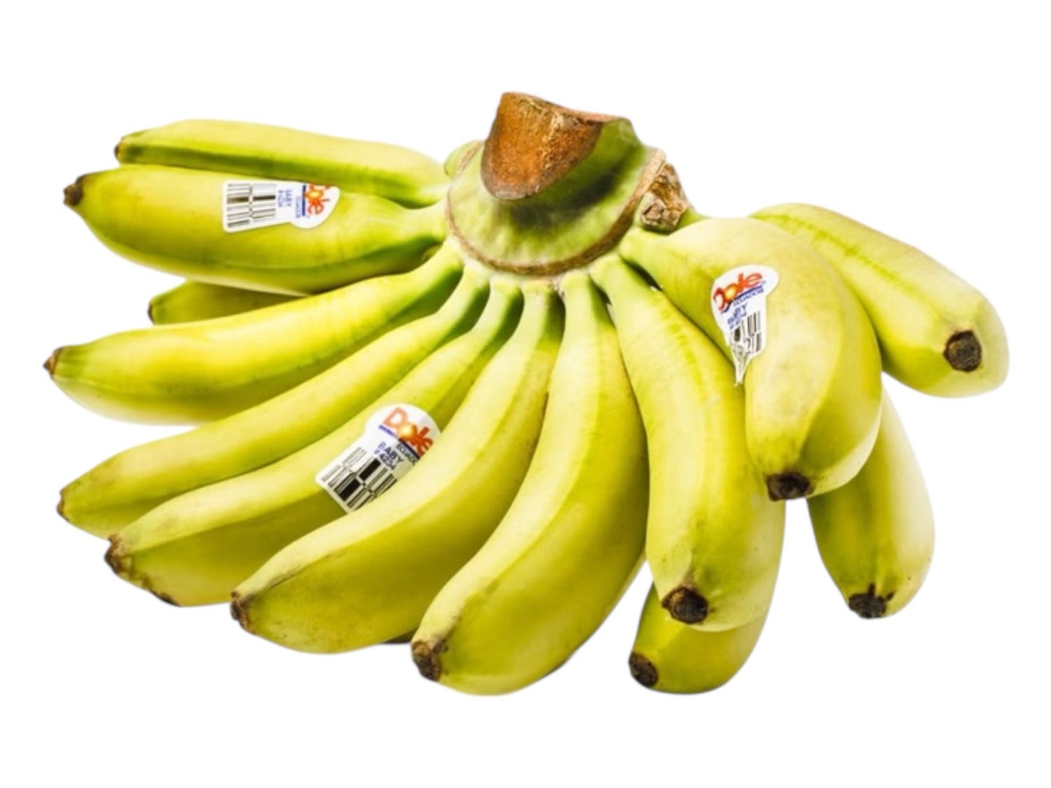 Baby Bananas /bunch +-2,2lb – Hampton Food Market – Grocery, Produce ...
