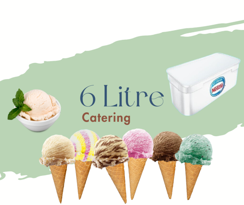 Nestle ice cream 6 Litre (Catering)