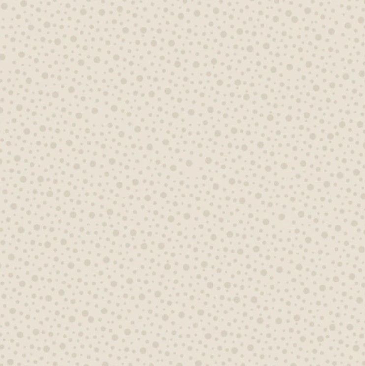 Lynette Anderson - Bedrock Basics