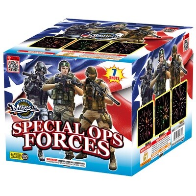 Northwest Pyroworks 500 Gram Fireworks Cakes