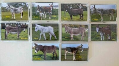 Store - Island Farm Donkey Sanctuary