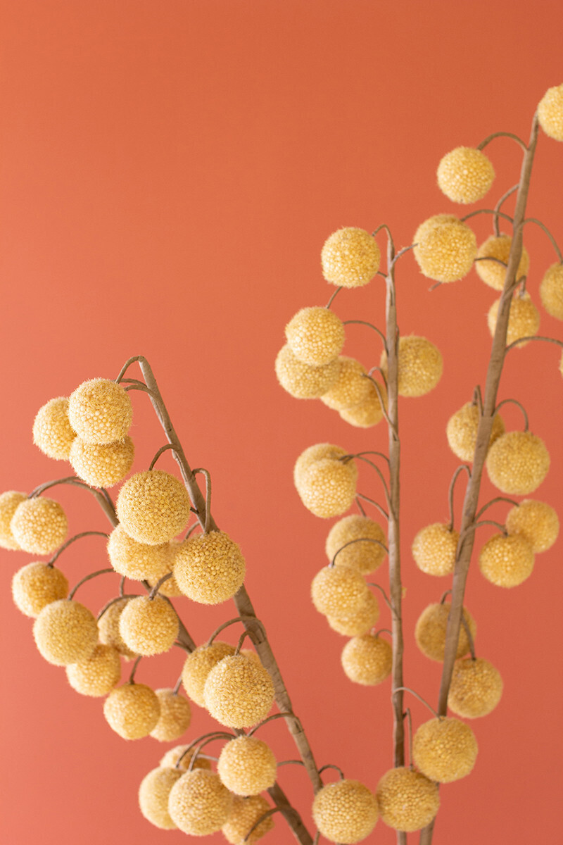 Botanica Brown Stem With Small Yellow Pods