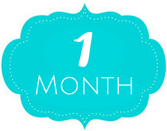 1 Month Subscription