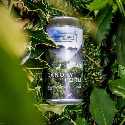 Burnt Mill Canopy Form GF West Coast Pale Ale