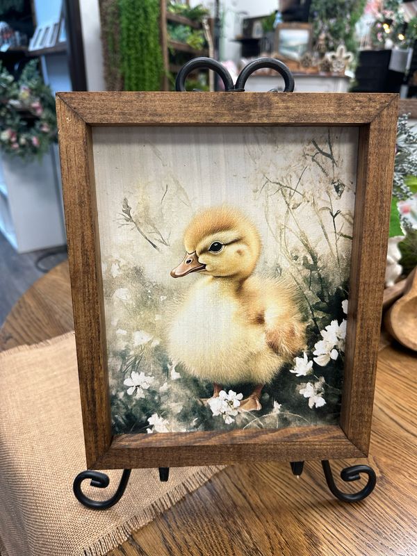 Jarmz 9x11 Duckling