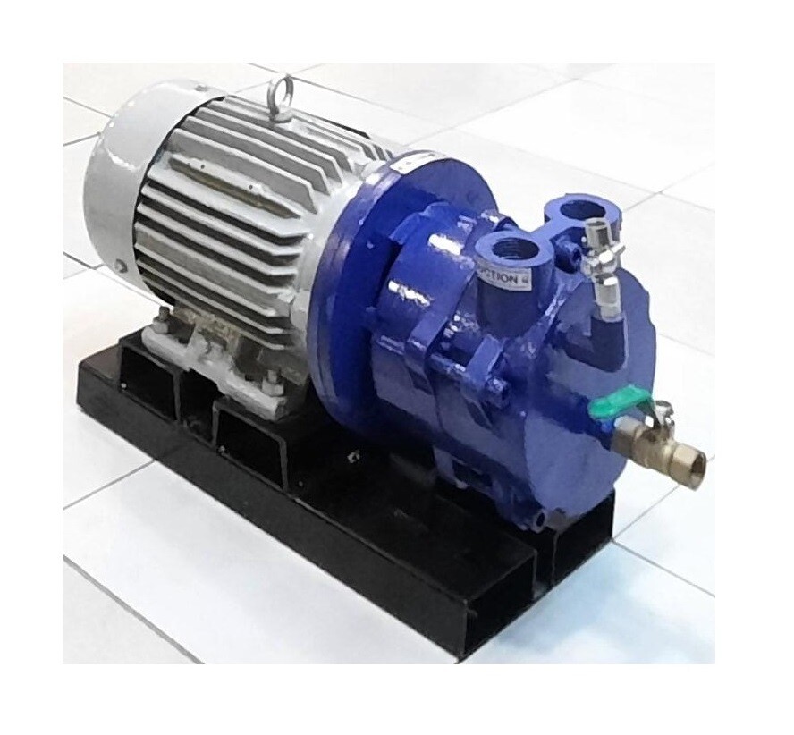 Pompa Vakum Monoblok FTM-3 Liquid Ring Vacuum Pump