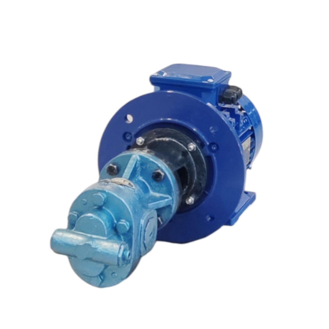 Gear Pump Helikal CGX Monoblok