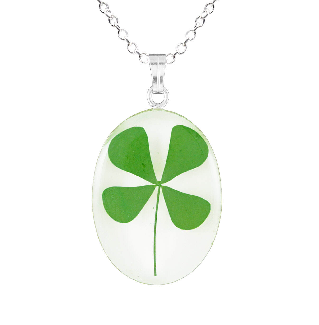 Real Four-Leaf Clover Collection