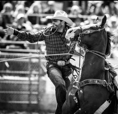 Shop Roping supplies, tack, saddles and piggin strings from Willard ...