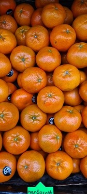 Fruit