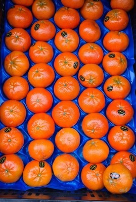 Shop Online l The Spud N Strawb - Ynyshir